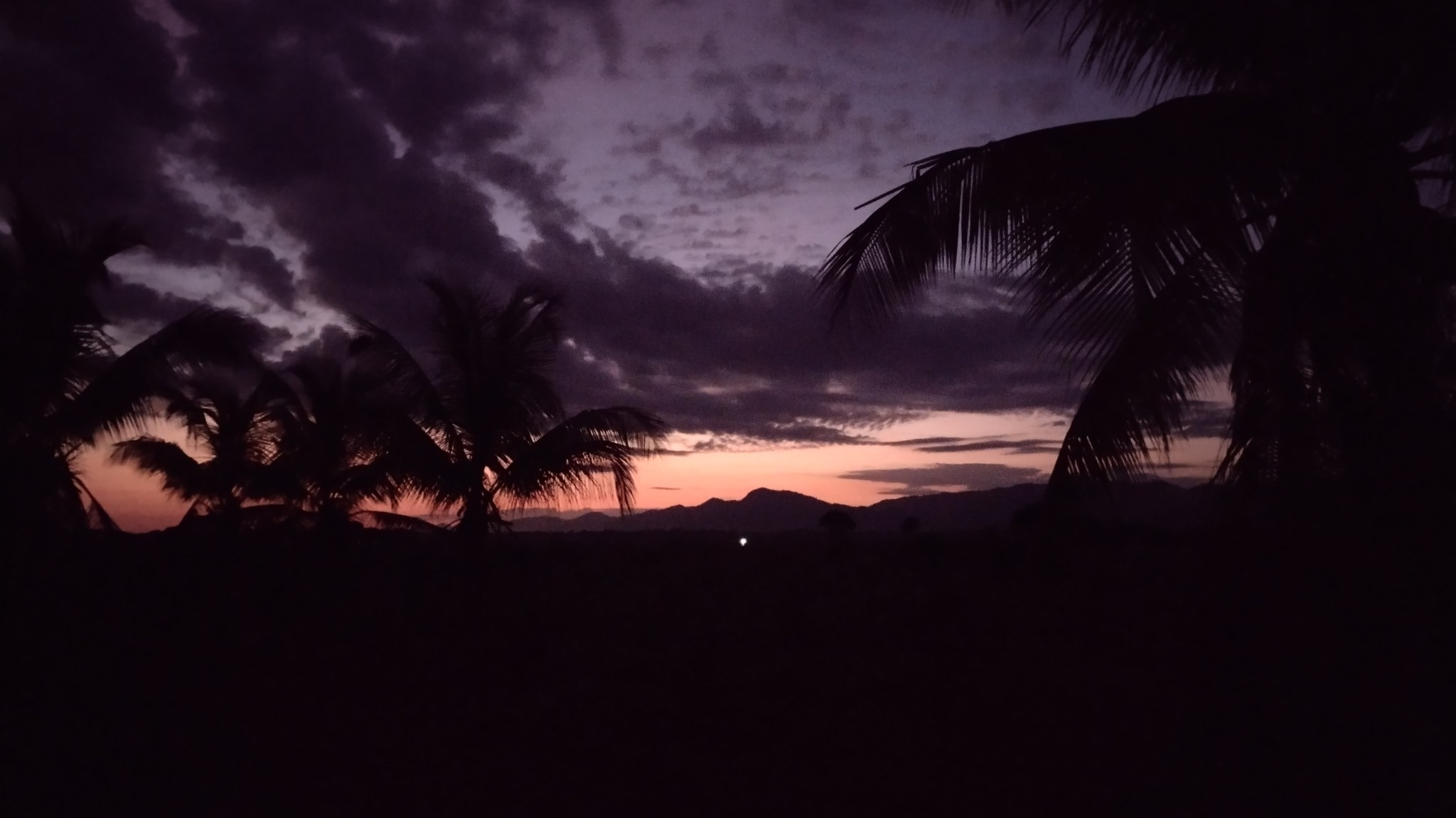 Dark Shamans, Stolen Bones and a Deadly Obsession: One Anthropologist’s ...